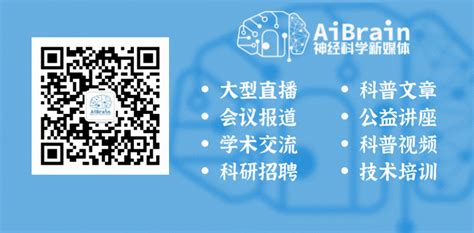 会议报道及回放丨brain Network And Modulation首次线上国际论坛精彩回顾 脑医汇