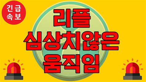 리플 엇 이거 심상치 않는데 이거 한번 지켜 보세요 Youtube