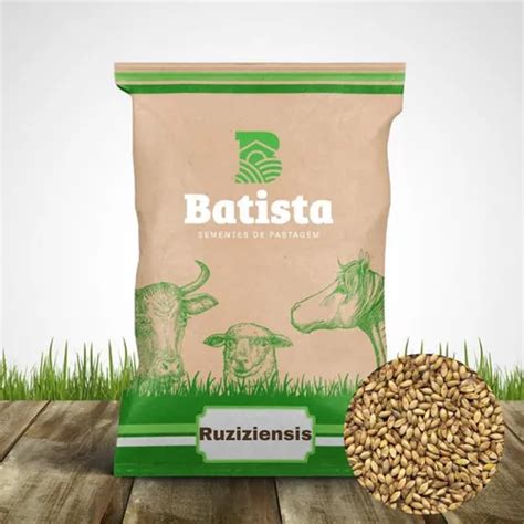 Sementes De Pastagem Brachiaria Ruziziensis 20kg Promoção