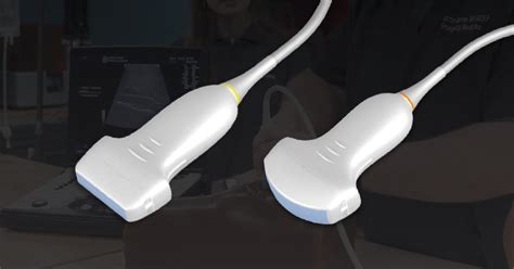 Linear Vs Curvilinear Probe Which To Choose Humimic