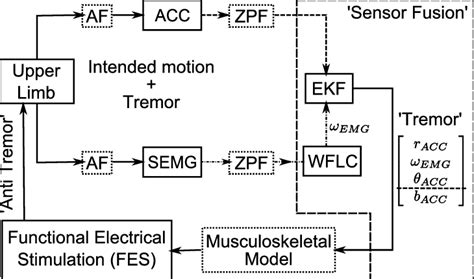 the proposed wflc ekf algorithm download scientific diagram
