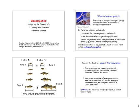 Bioenergetics Lecture Notes Biochemistry Docsity