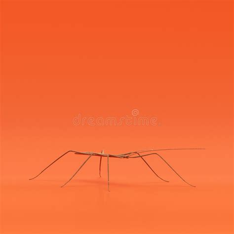 Stick Insect Doll Stuffed Insect Made Of Cloth Single Varmint From Angle View Handmade Bug