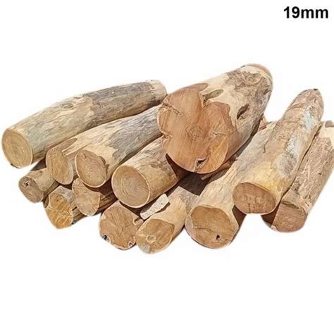 Round Brown Sheesham Wood Log 12 Thickness 19mm At ₹ 1300 Sq Ft In Sirsa