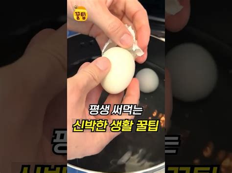 평생 써먹는 신박한 생활 꿀팁