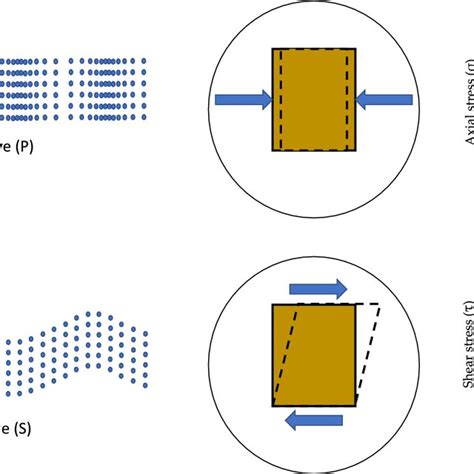 The Propagation Of Seismic Waves P Wave And S Wave And Its Download Scientific Diagram