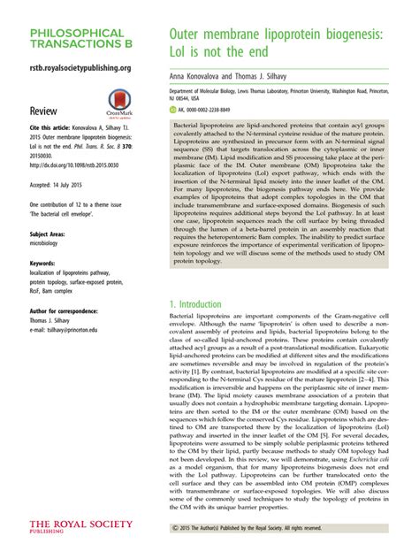 Konovalova Et Al 2015 Outer Membrane Lipoprotein Biogenesis Lol Is Not The End Pdf Protein