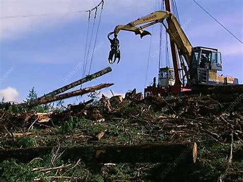 Logging Operation Stock Video Clip K0022161 Science Photo Library