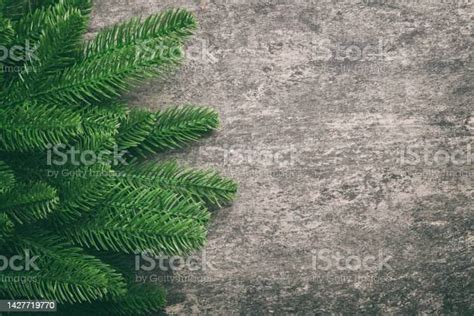 광고 텍스트에 대한 복사 공간이있는 크리스마스 휴가 배경 색상 배경에 전나무 가지 플랫 레이 상단 보기 0명에 대한 스톡 사진 및 기타 이미지 Istock