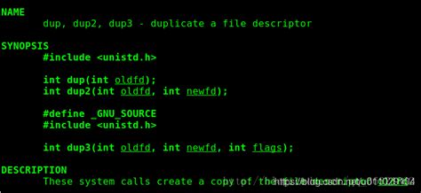 高级io模型2 Dupdup2dup模型 Csdn博客 高级io模型2 Dupdup2dup模型 Csdn博客
