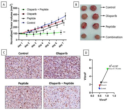 Correlation Between In Vivo And Ex Vivo Response Of Patient 1 To