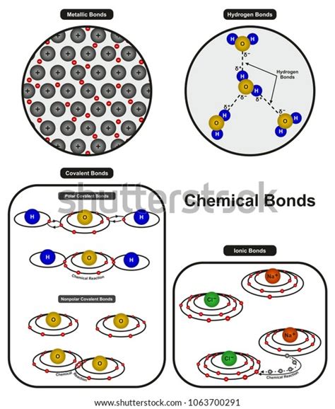 Chemical Bonds Infographic Diagram Showing Types Of Bonding Including