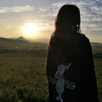 vector二维数组的赋值与遍历 vector 的赋值 CSDN博客