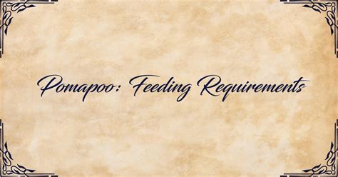 Feeding Requirements Of Pomapoo