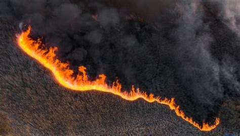 Chornobyl Wildfires Radiation Levels Remain Normal In Kyiv City And