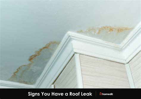 5 Common Causes Of Water Leaks In Your Roof