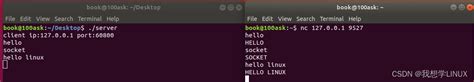 Linux下的网络编程网络基础socket编程一 阿里云开发者社区