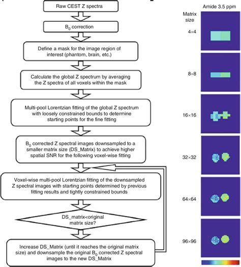 Illustration Of The Image Downsampling Expedited Adaptive Least Squares Download Scientific