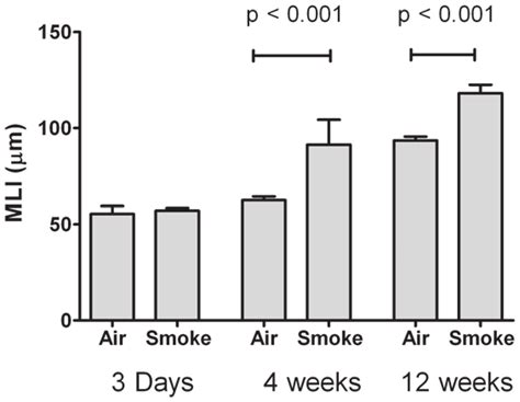 Mean Linear Intercept Mean Linear Intercept Is Reported As A