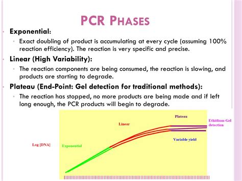 Ppt Real Time Pcr Powerpoint Presentation Free Download Id1984880