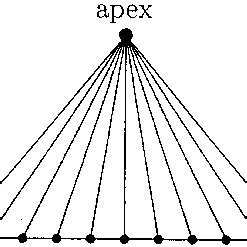 Standard Maximal Outerplane Graph C N Download Scientific Diagram