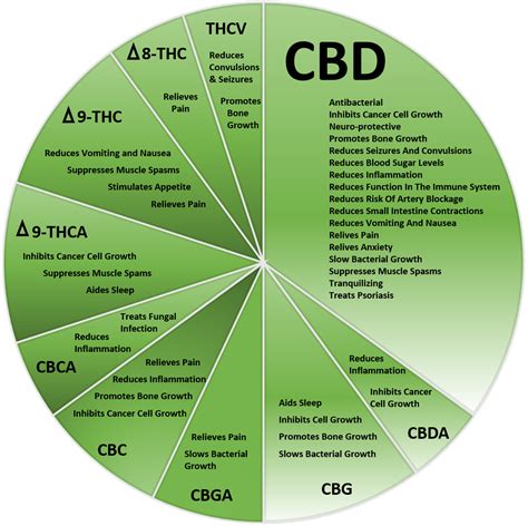 Cannabis Science Inc Critical Ailments