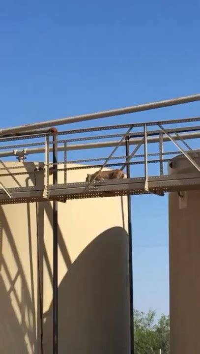 Michael Duerr Rebecca Posted On Linkedin