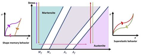Phase Diagram Of A Shape Memory Alloy SMA Including Superelastic And Download Scientific