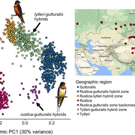 The First Two Principal Components From A Pca Of The Genetic Covariance