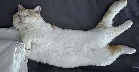 Were Interrupting Your Regularly Scheduled Doom Scrolling Album