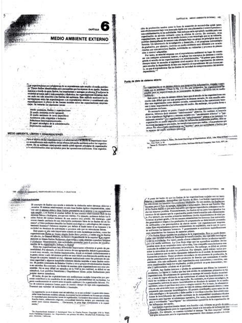 Capítulo 6 Kast Y Rosenzweig Pdf Business