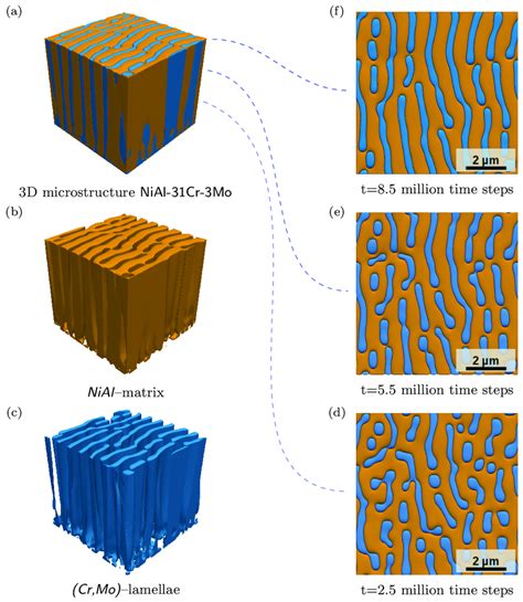 Simulated Three Dimensional Microstructure Of Nial Cr Mo In A Domain Download Scientific