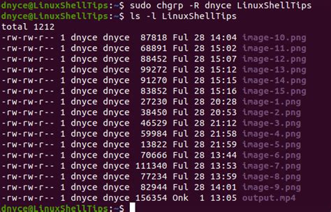Learn Usage Of Chgrp Change Group Command In Linux