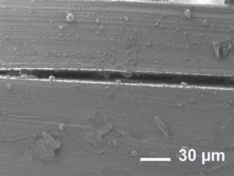 Sem Image Of Defects On Pdms Interface Bonding Using Oxygen Plasma Download Scientific Diagram
