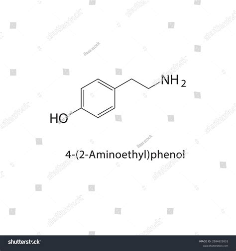 4 2 Aminoethylphenol Tyramine Skeletal Structurephenylethanolamine