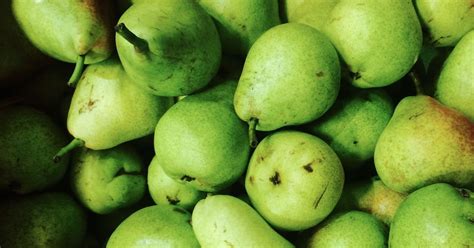 Building A Github Repo Template Part 7 Nextjs Pwa Support Rjavascript