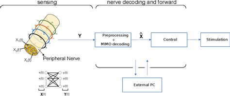 Figure 1 From Neural Network Based Classification Of Eng Recordings In