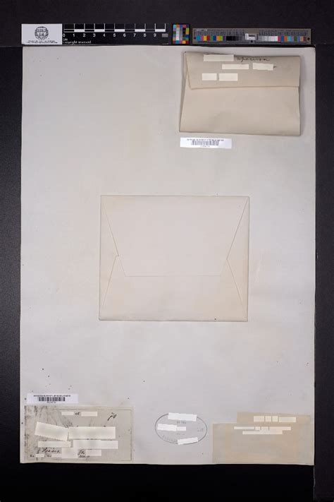 Herbarium Object Detection Dataset By Nhm