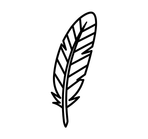 Feather Outline Svg Png Line Art Vector Black And White For Cricut Etsy