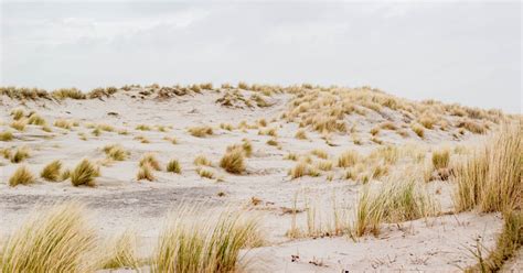 Aramis Ccs Aramis Newsletter 6