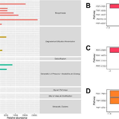 The Relative Abundances Of Secondary Functional Pathways And Pathways