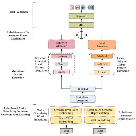 Multi Label Text Classification Based On Label Sentence Bi Attention Fusion Network With Multi