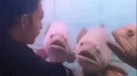 Add Context To This Image R21stcenturyhumour