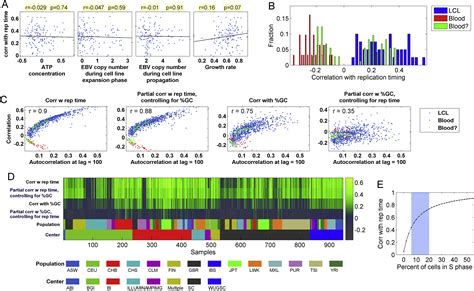 Genetic Variation In Human Dna Replication Timing Cell
