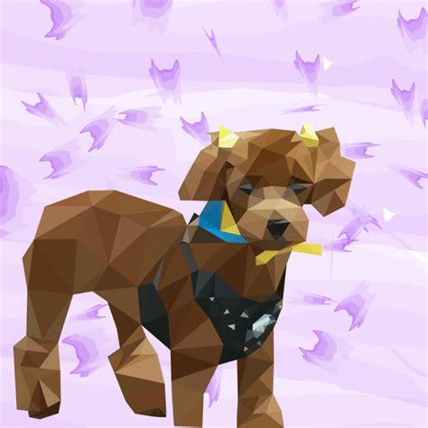 Assignments Assignments