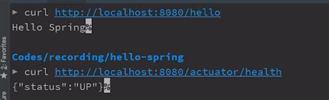 The Result Of Curl Command From Mac Bash Is Mixed With Next Command
