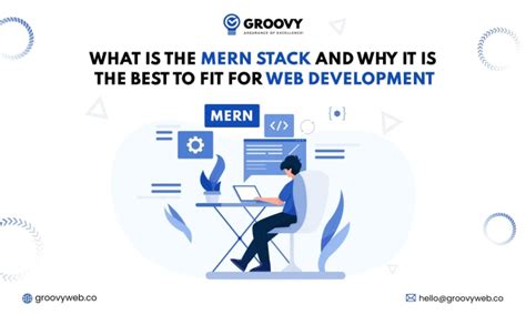 dynamic and responsive mern stack web development by iwaseem abbas fiverr