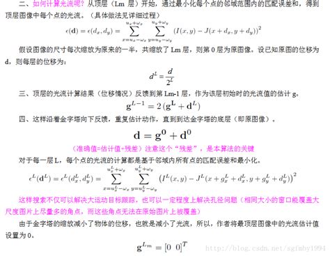 总结：光流 Lk光流 基于金字塔分层的lk光流 中值流method For Calculating Robust Interpolation Optica Csdn博客