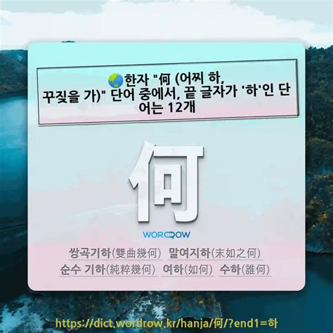 국어사전에서 🌏한자 何 어찌 하 꾸짖을 가 단어 중에서 끝 글자가 하인 단어는 12개