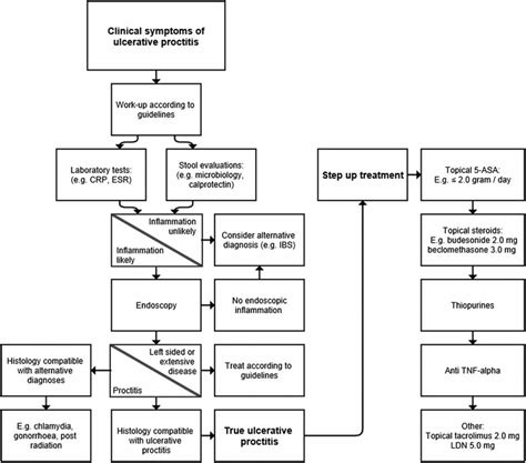 Ulcerative Proctitis Causes Symptoms Diagnosis Treatment And Prognosis